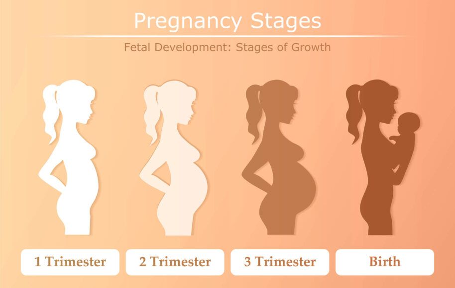 The Miraculous Journey of Pregnancy - Dr Parents