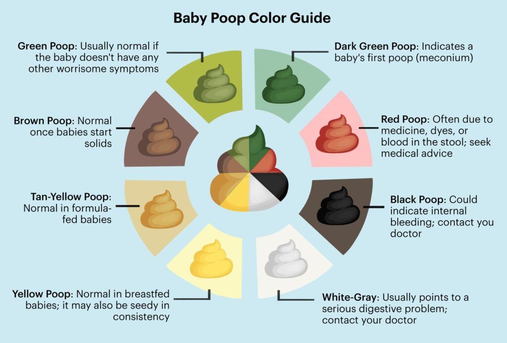Know What Your Baby's Poop Means: Baby Poop Guide 101 - Dr Parents
